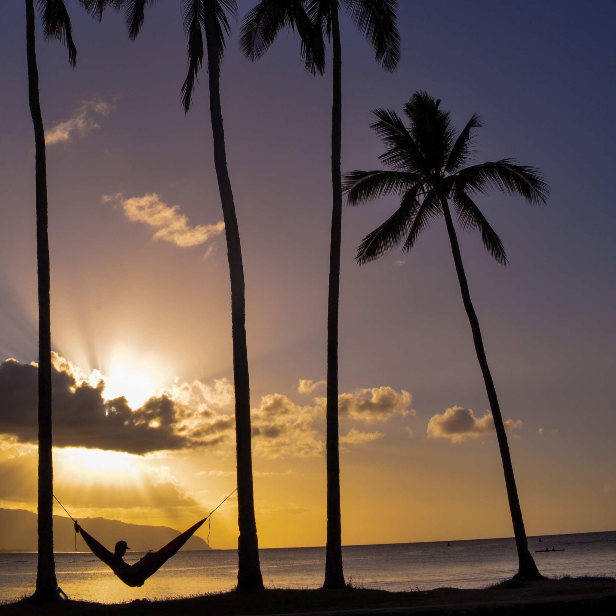 Startseite - Little Hawaii